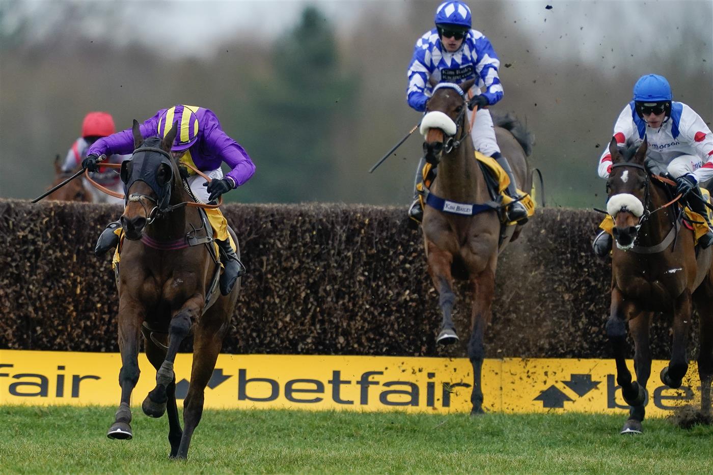Racing Photos | Newbury races on February 11th [Pictures and Results]