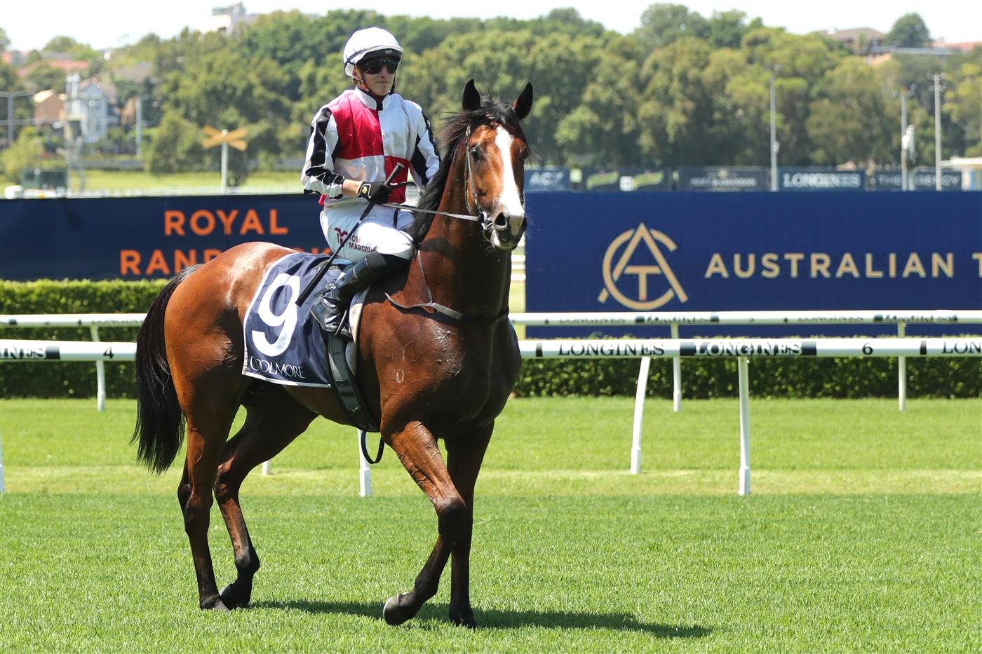 Randwick Highlights - February 11, 2023