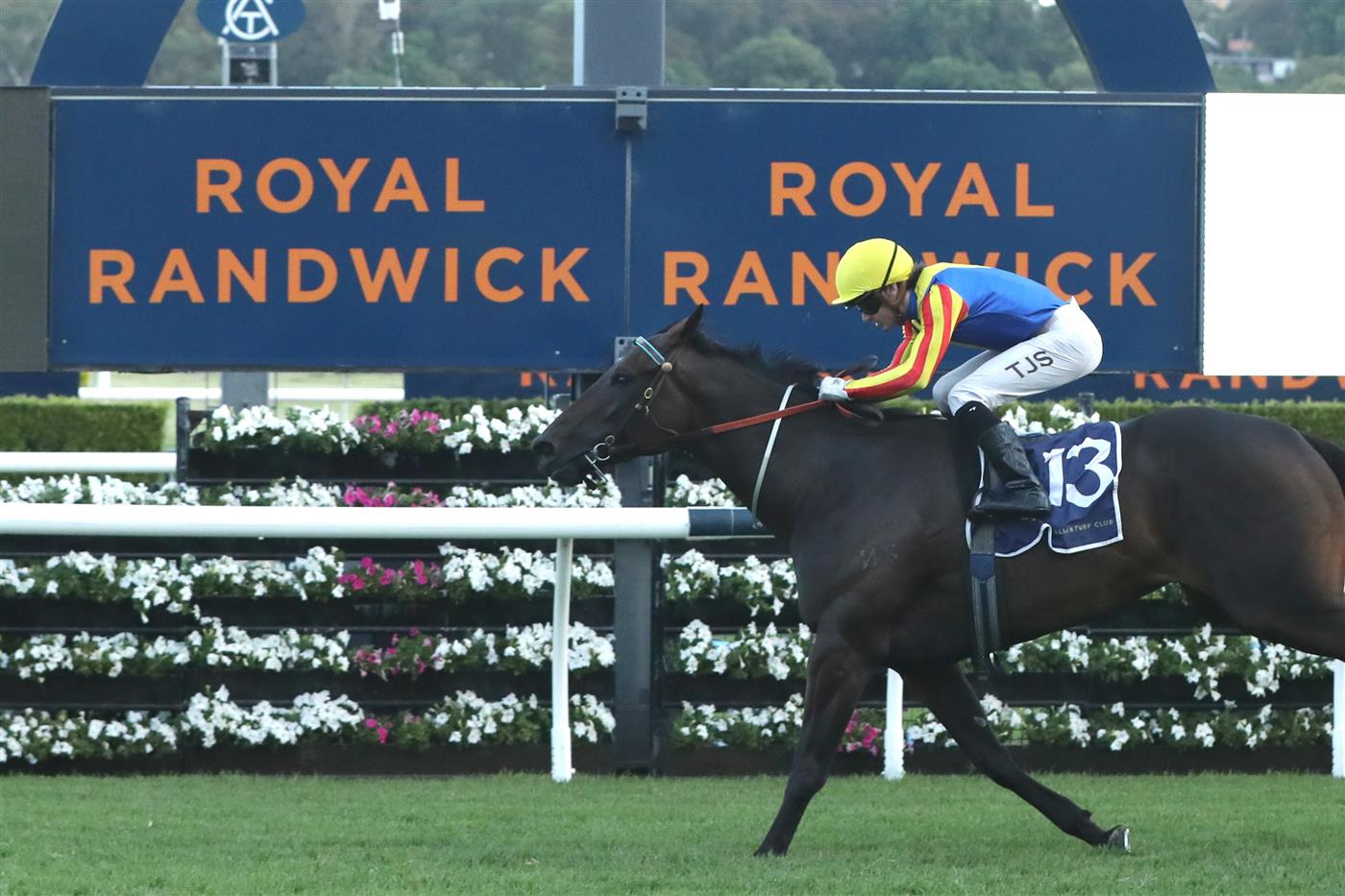 Randwick Highlights - February 11, 2023