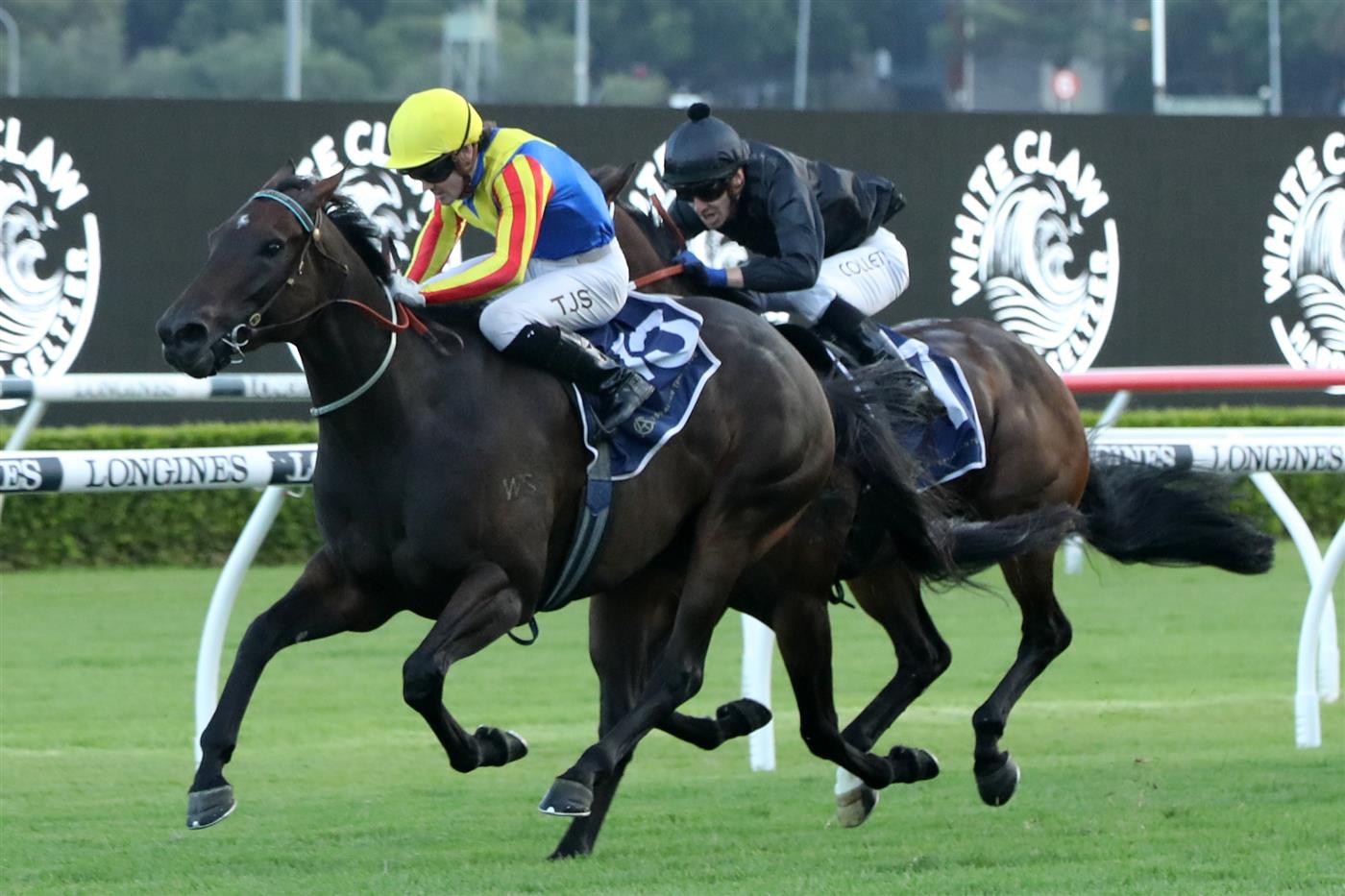Randwick Highlights - February 11, 2023