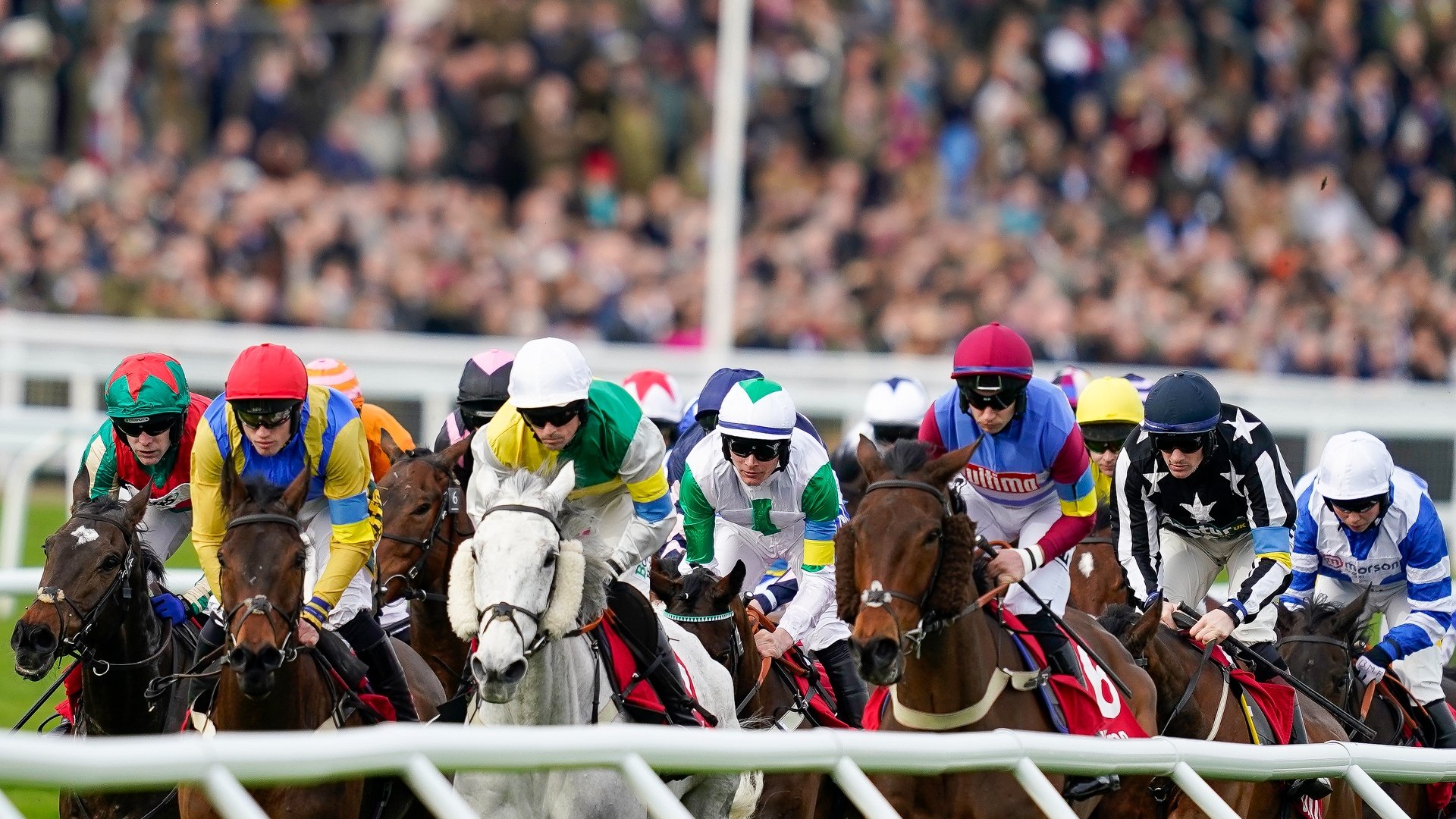 2023 Cheltenham Festival Preview Nights | UK and Ireland Events