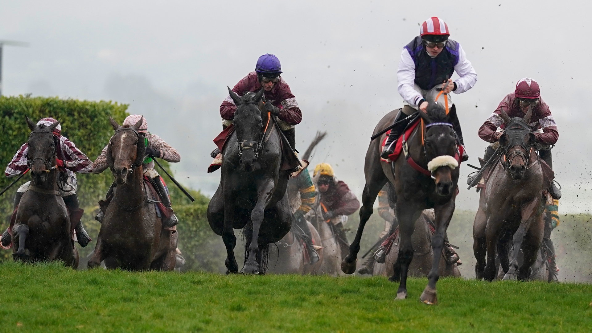 2023 Cross Country Chase Odds, Entries and Runners [Updated on 16.2.2023]