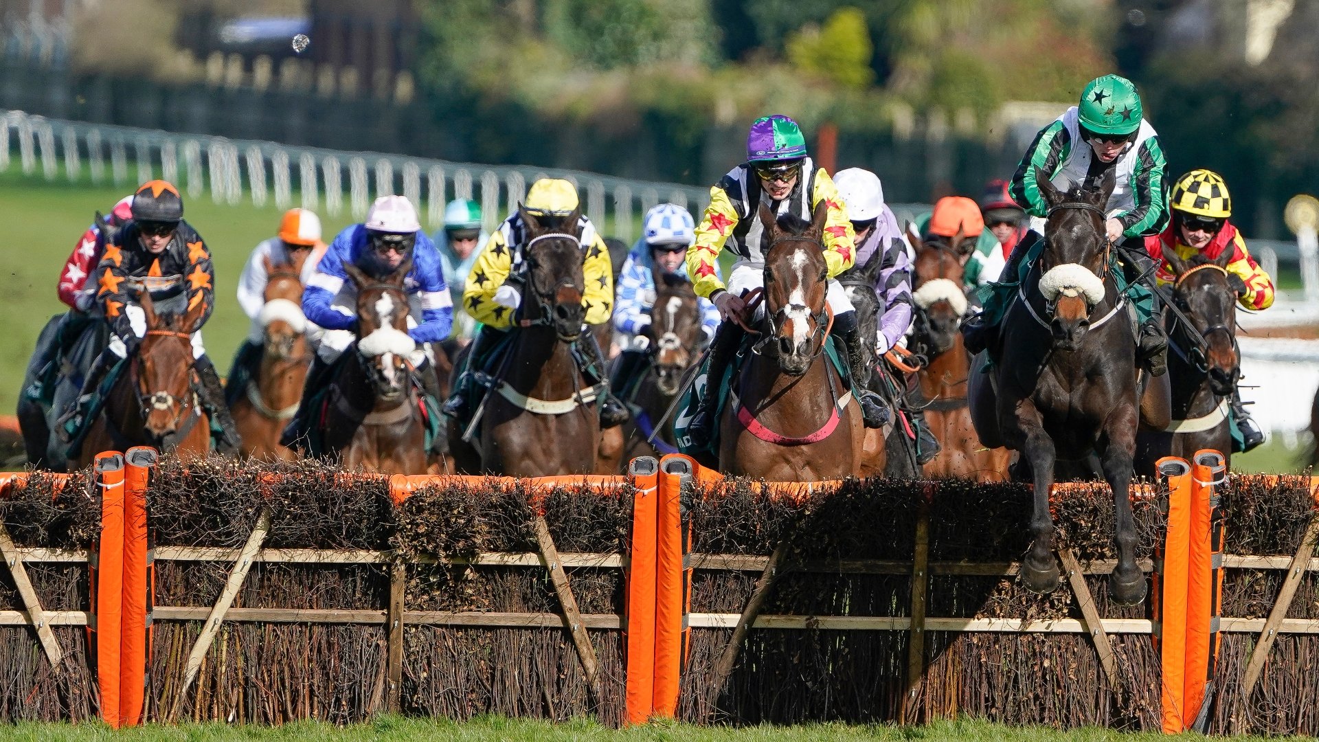 2023 Imperial Cup Tips | Sandown tips on March 11