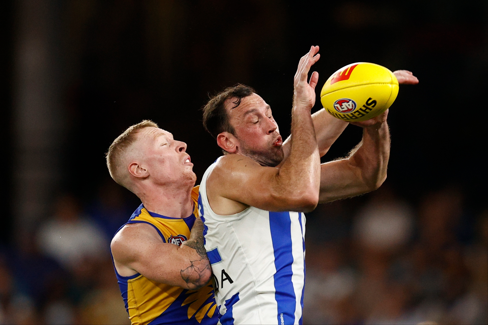North Melbourne Vs West Coast Eagles Tips And Predictions