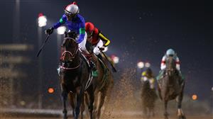 UAE Racing Tips & Dubai Racing Tips | RacingInsider.com