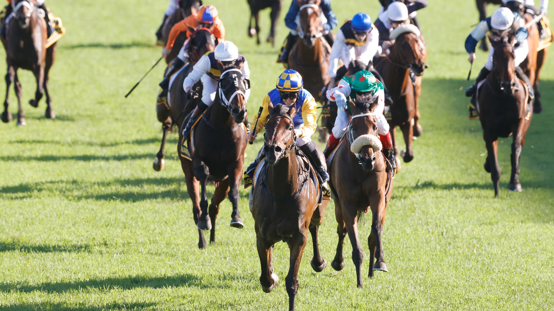 Tancred Stakes 2023 Barrier Draw - Tancred Stakes 2023 Final Field