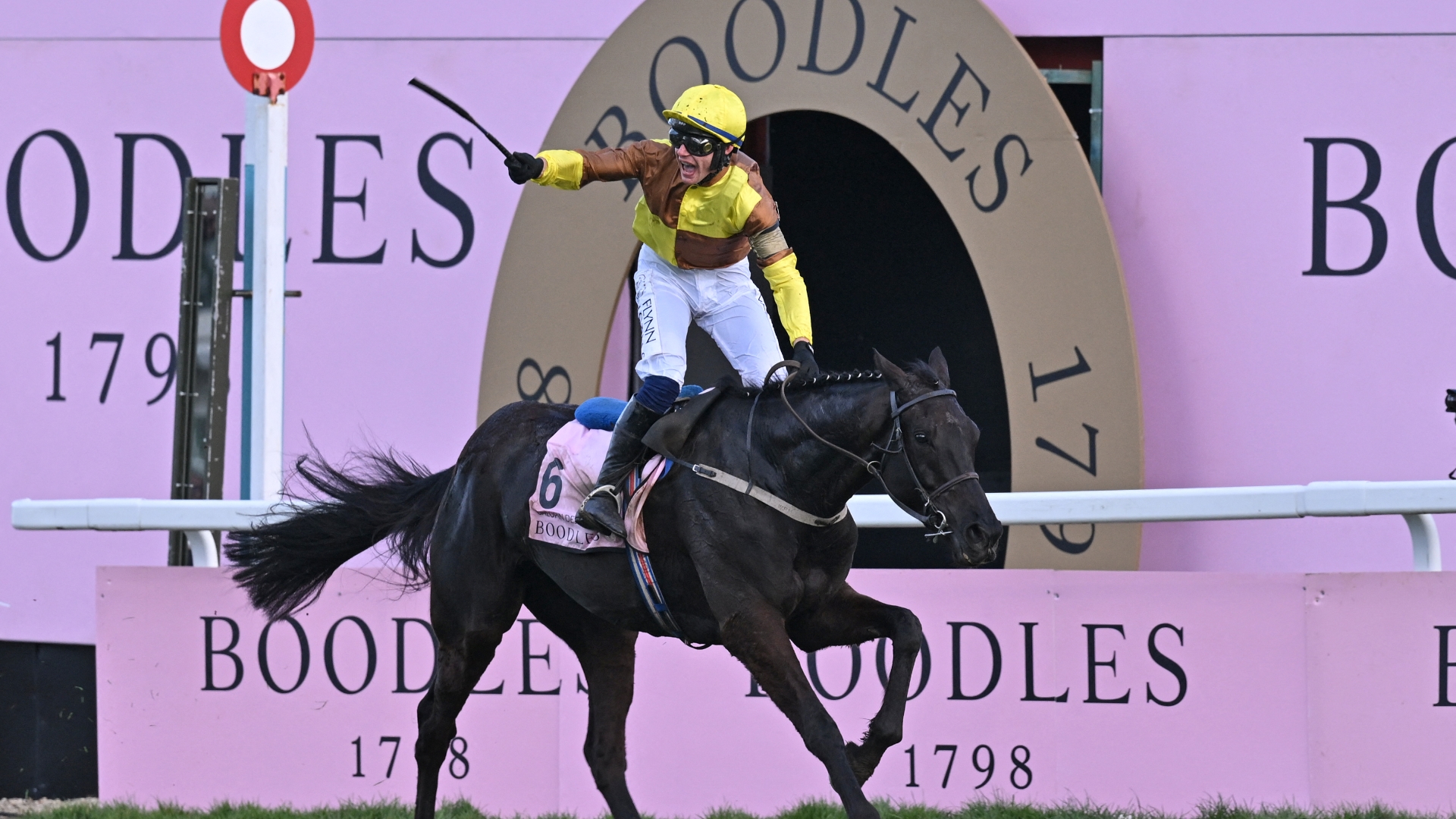 Gold Cup 2024 Cheltenham Idell Jaquelyn