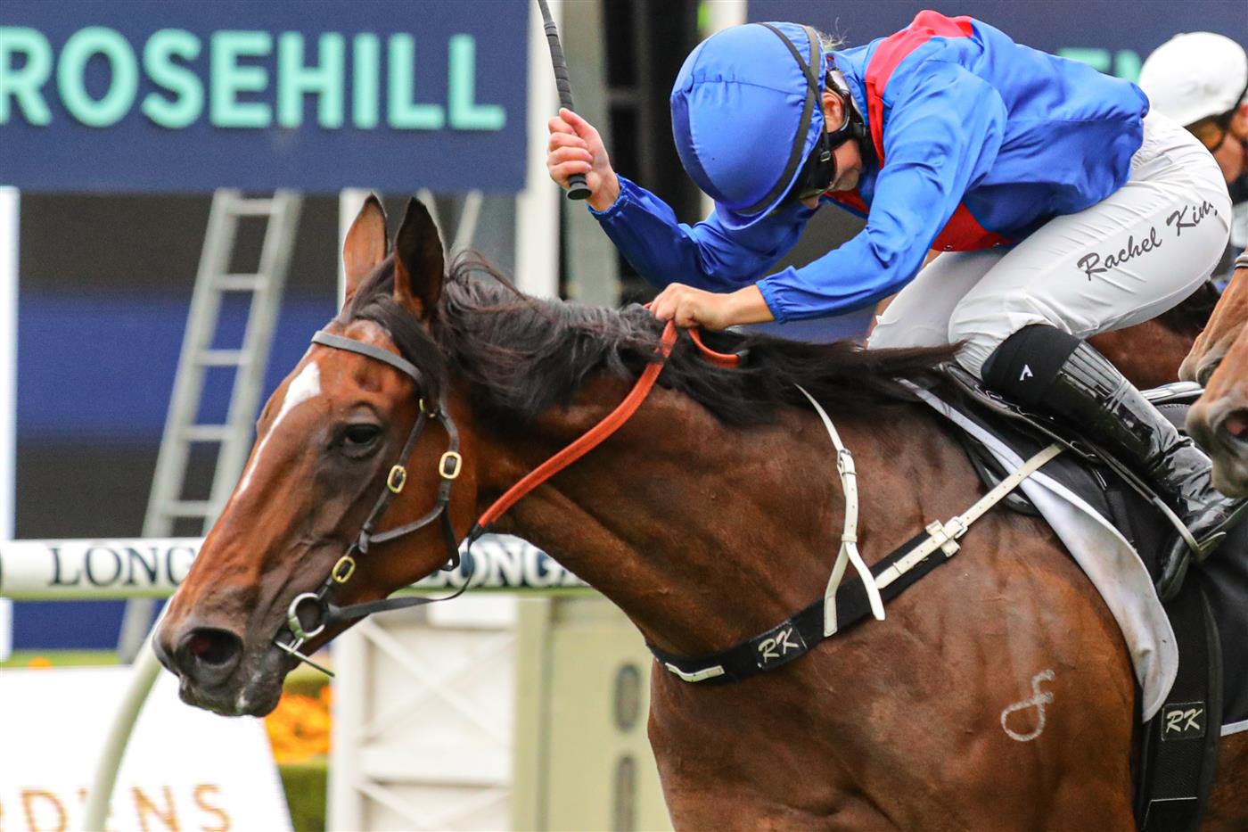 Rosehill Highlights - 2023 Tancred Stakes Day