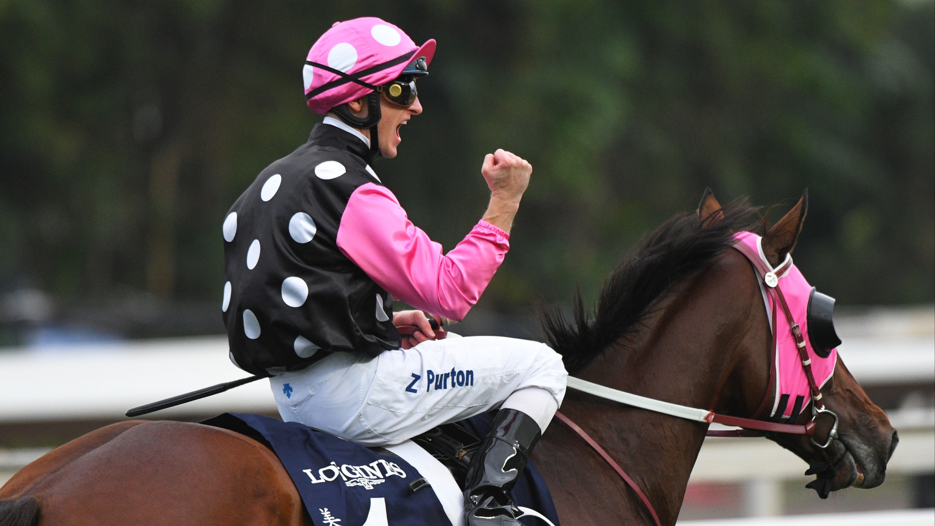 Australian Jockeys at Sha Tin Racecourse - Details of their successes