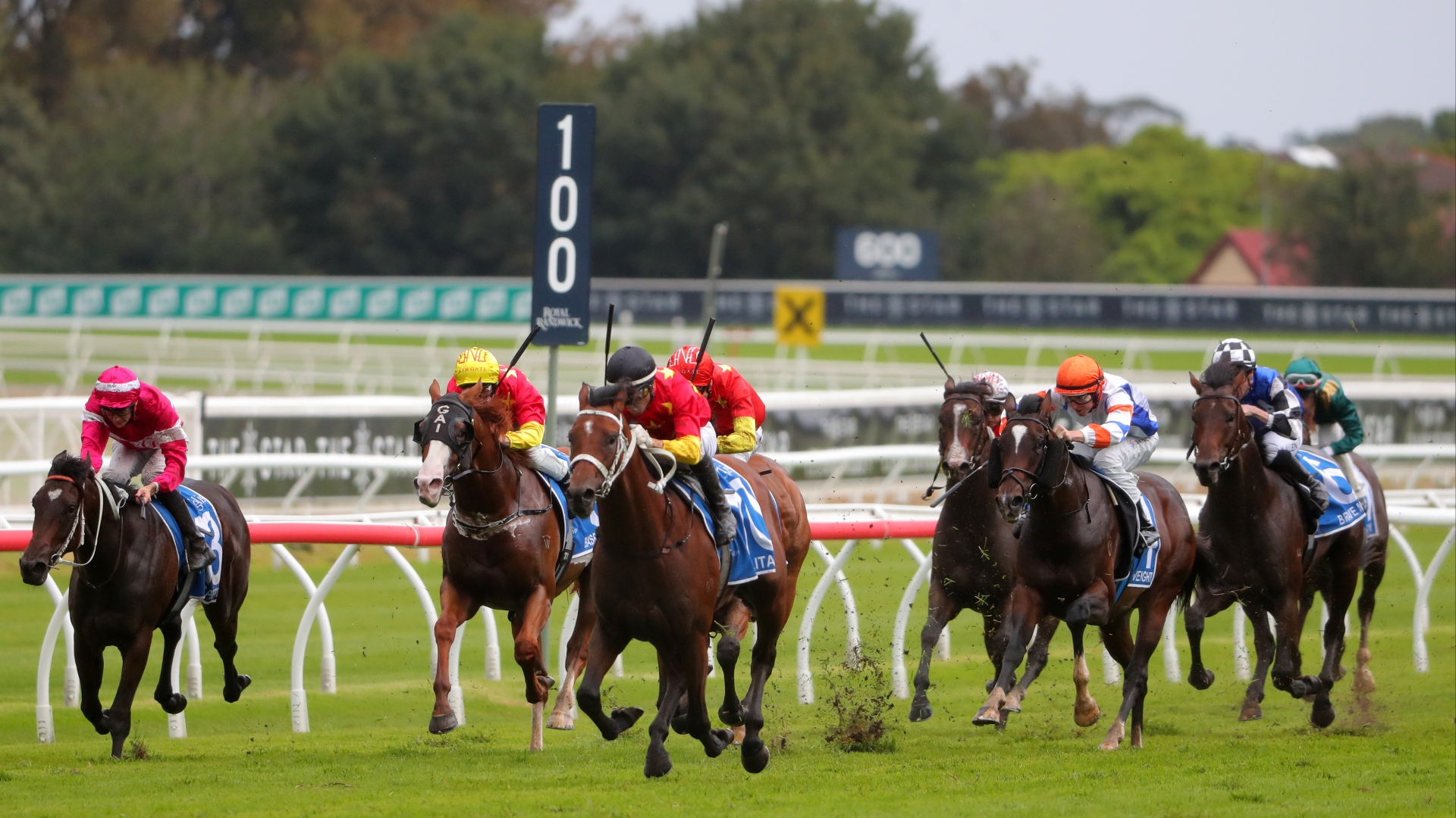 Champagne Stakes 2023 Barrier Draw - Champagne Stakes 2023 Final Field