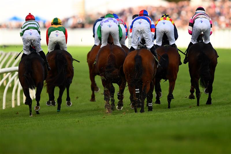 2023 Warrnambool Racing Carnival - Day One Highlights (Pictures)