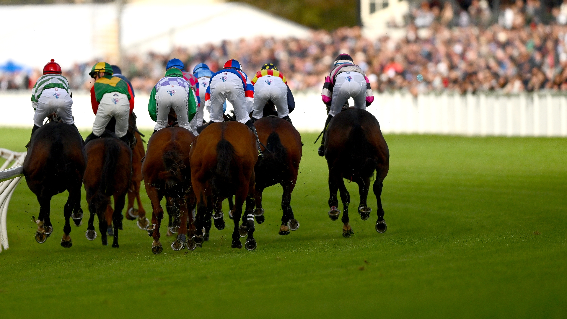 2023 Warrnambool Racing Carnival - Day One Highlights (Pictures)