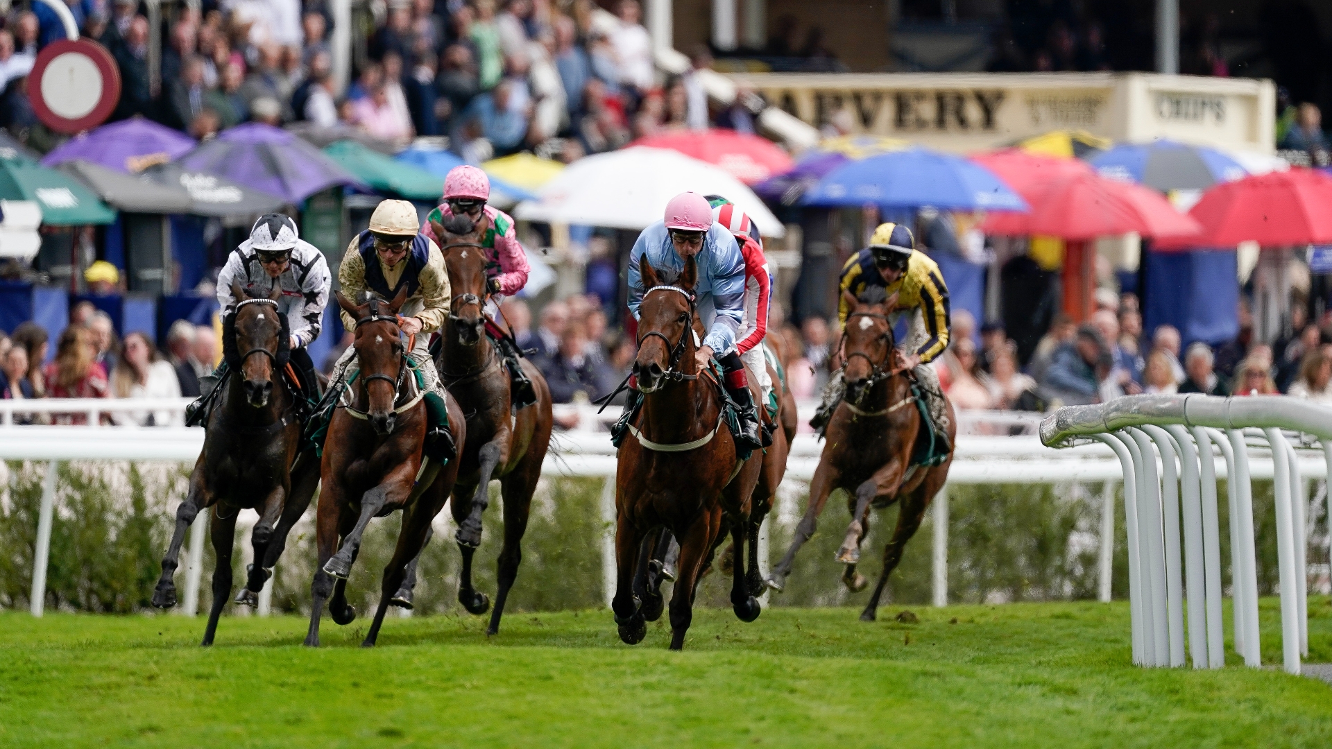 ITV Racing Tips on May 11th | Best bets at Chester and Southwell