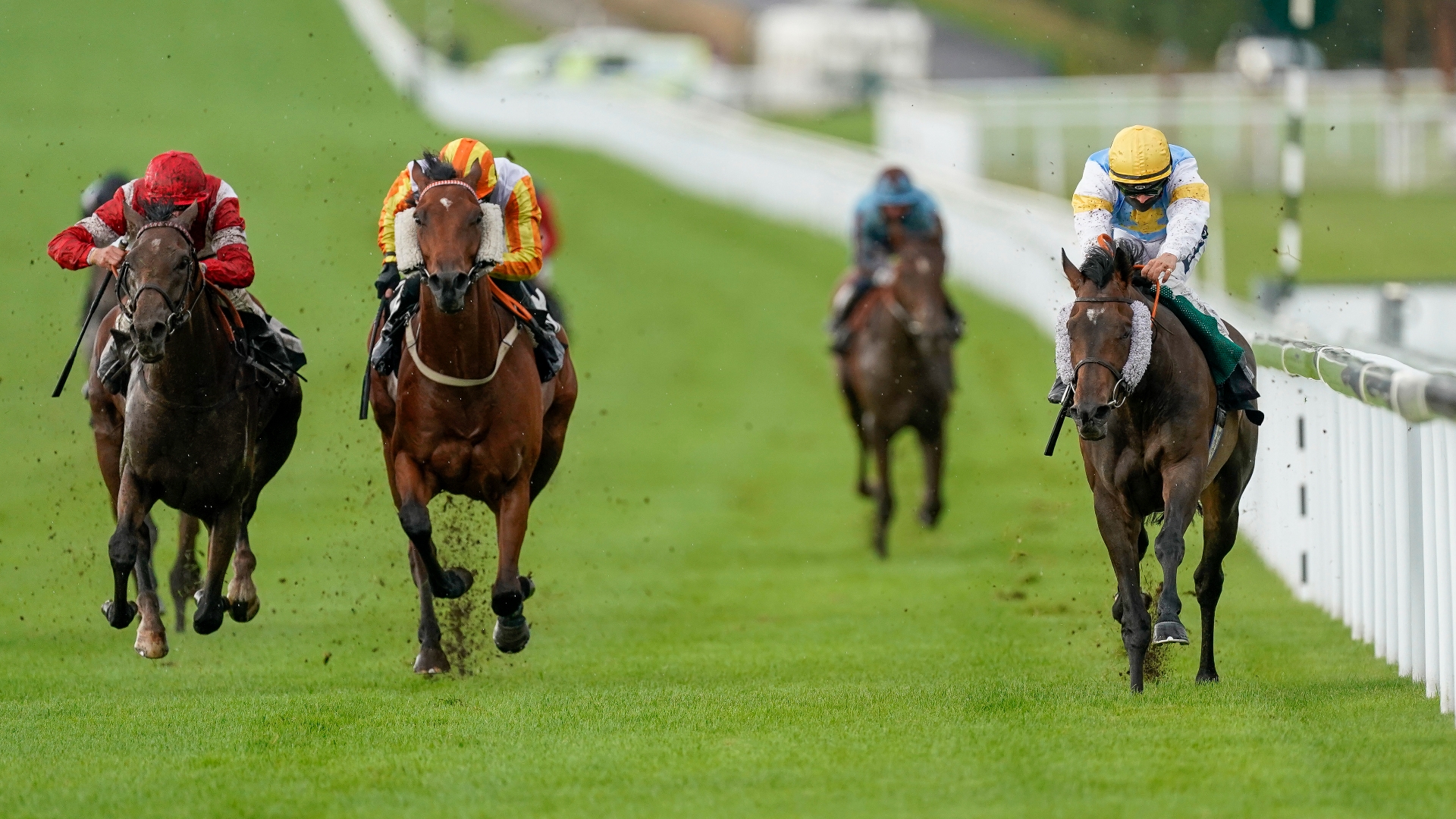 2023 Chester Cup Tips | Odds, trends and two against the field