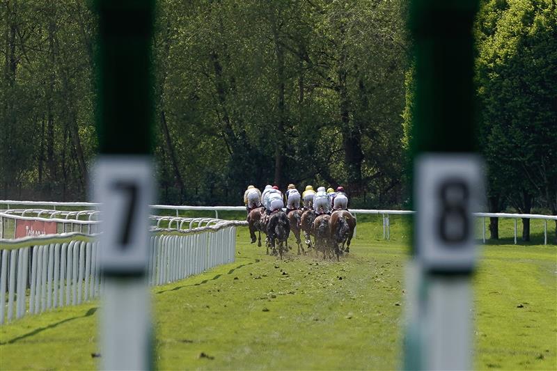 Racing Photos | Day Three of the May Festival at Chester [Pictures and ...