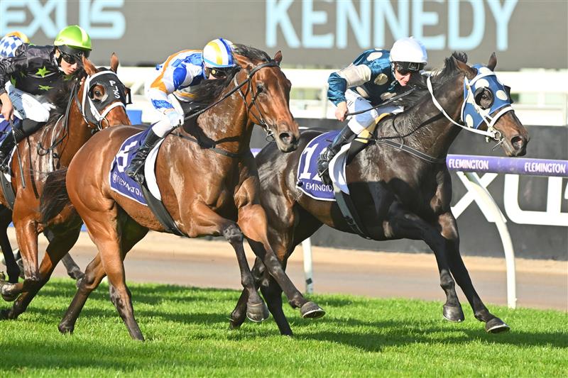 Flemington Highlights - Saturday, May 13