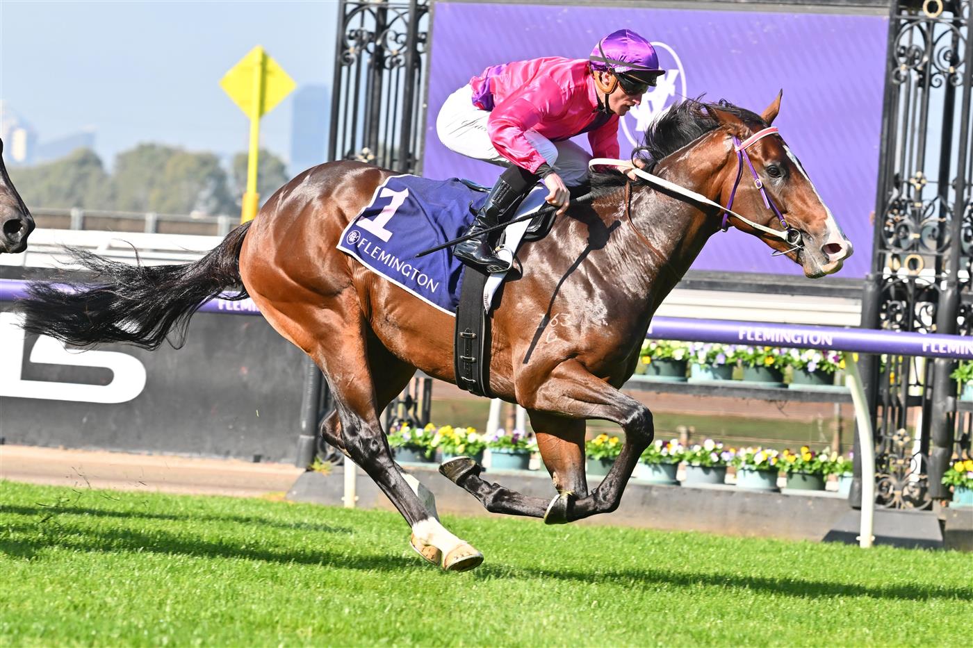 Flemington Highlights - Saturday, May 13