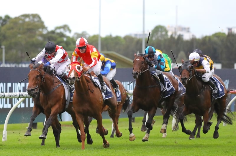 Queensland Derby 2023 Barrier Draw & Final Field
