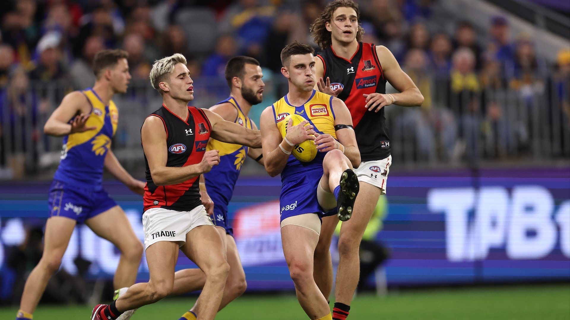 AFL Teams - Round 11