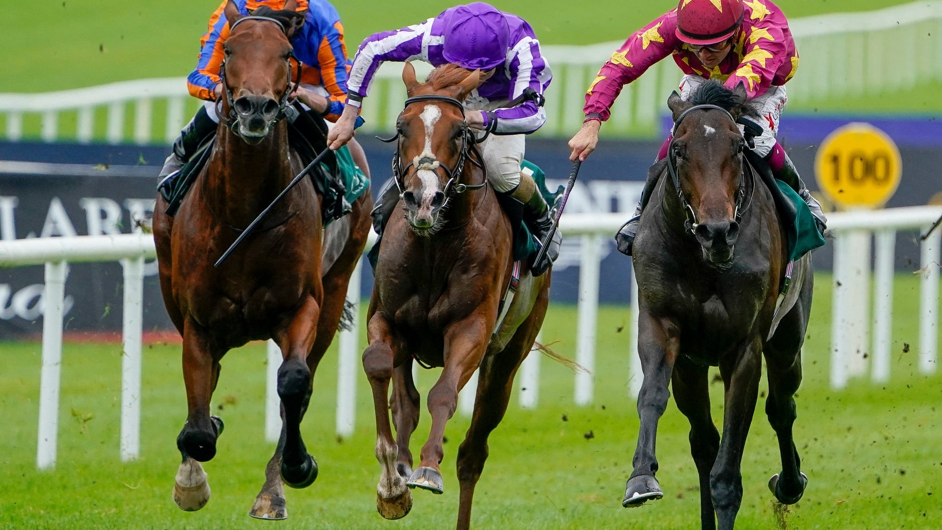 2023 Irish 2000 Guineas Tips | O'Brien's second-string can land a blow