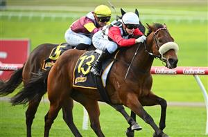 Big Bets | Who the big punters are backing with weekend betting from ...