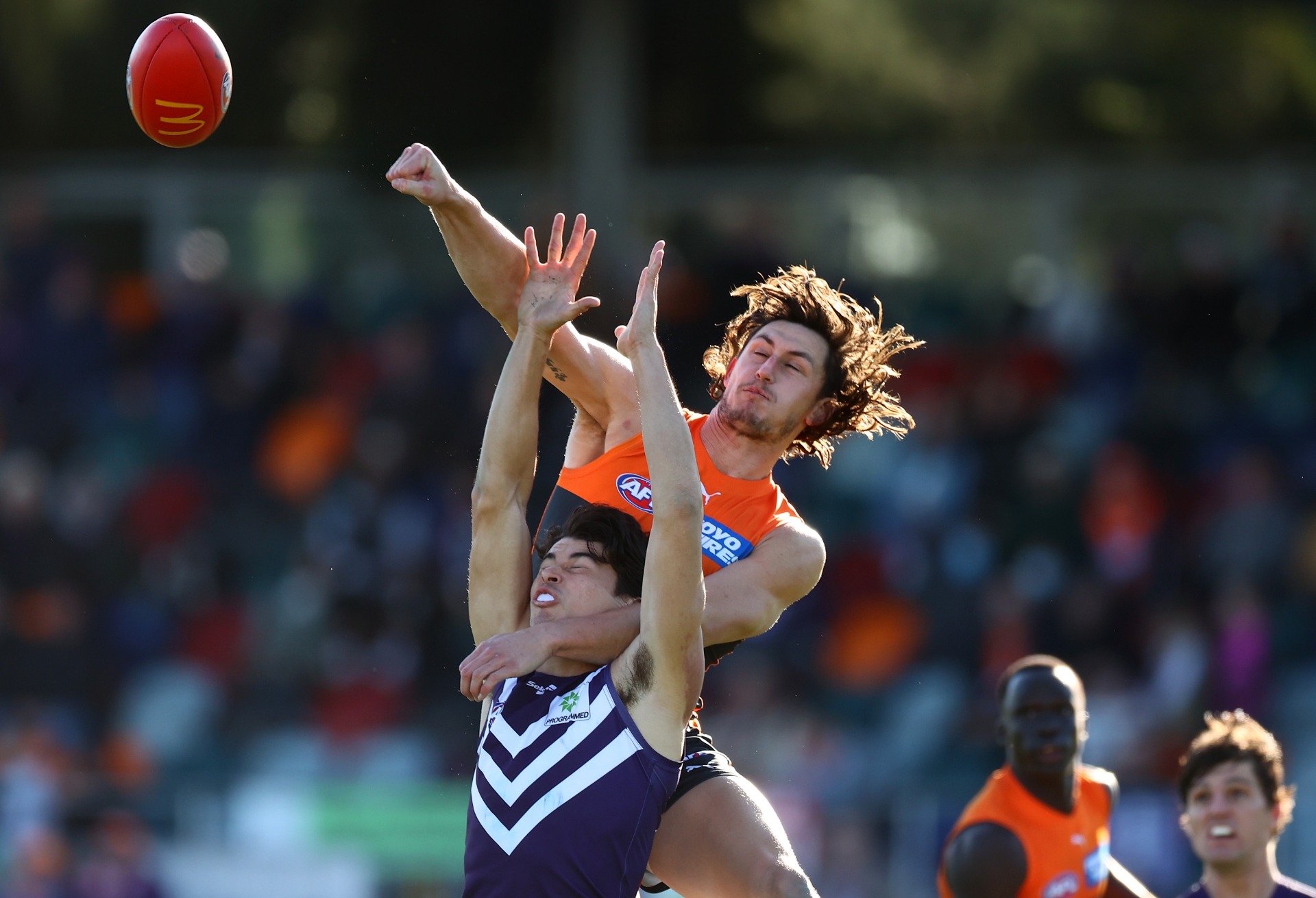 Gws Giants Vs Fremantle Dockers Tips And Preview Dockers Backed To Win