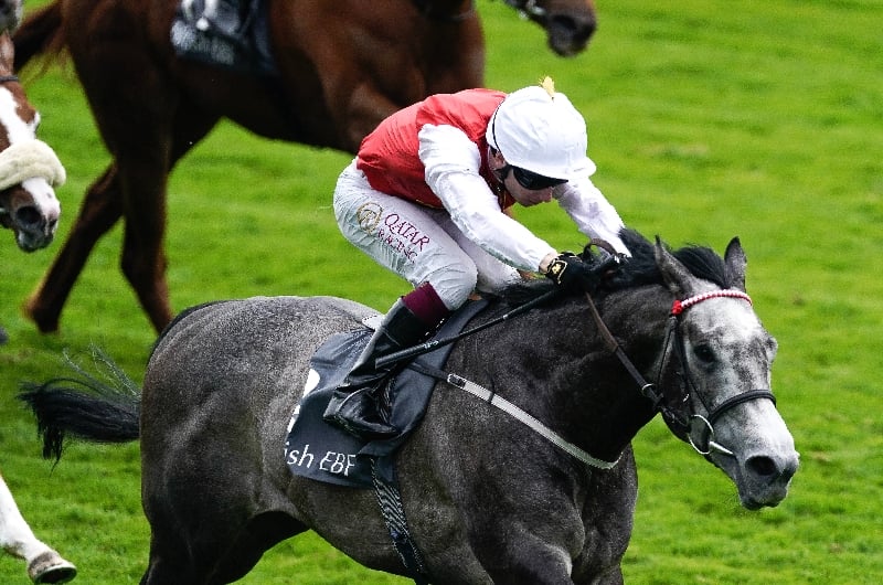 Newspaper Racing Tips | Israr and Great State the a popular ITV double