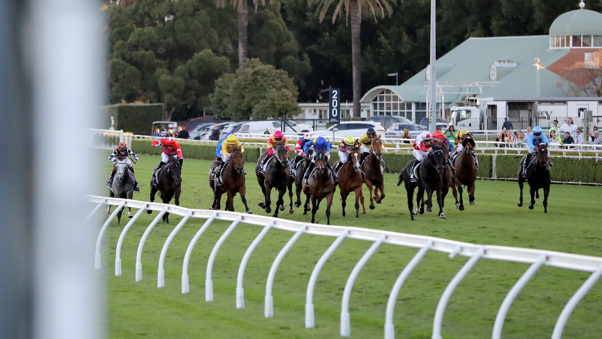 Big Bets Results from June 24