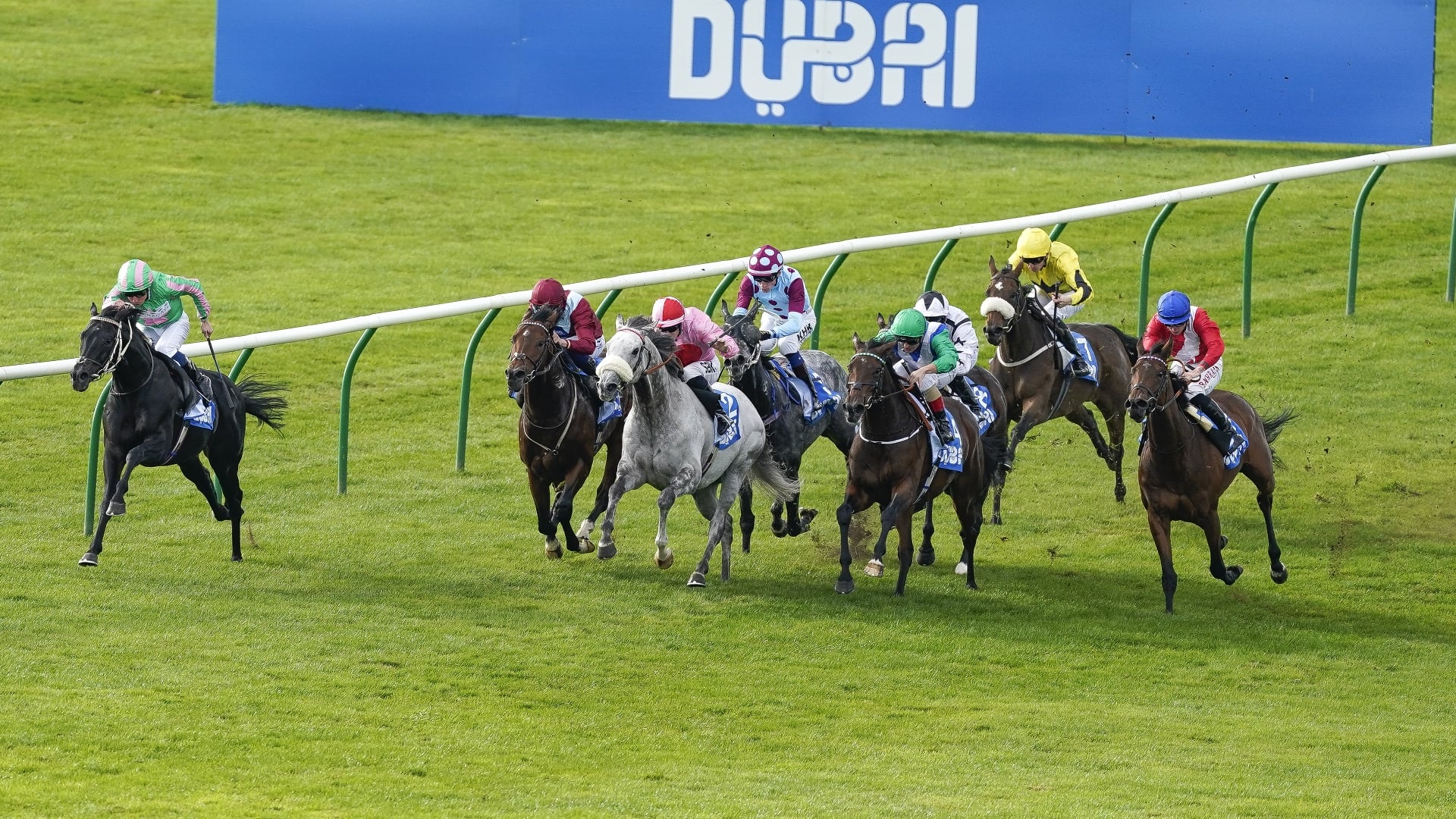 2025 Criterion Stakes Odds | Lake Forest the early favourite at York