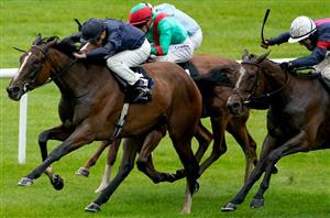 Irish Racing Tips | Free Expert Tips | RacingInsider.com