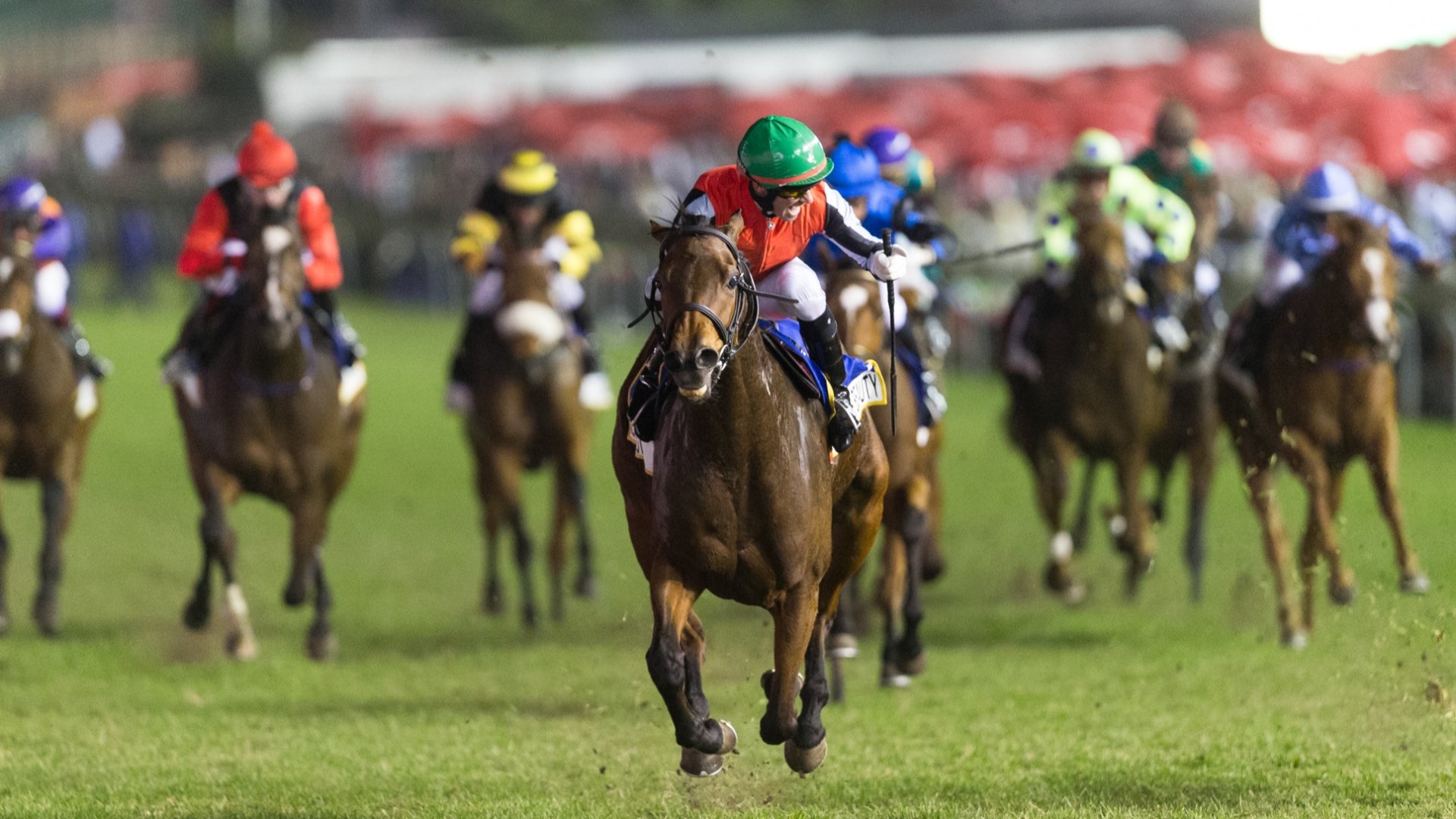 Greyville Tips on July 1st | Best Bets on Durban July day