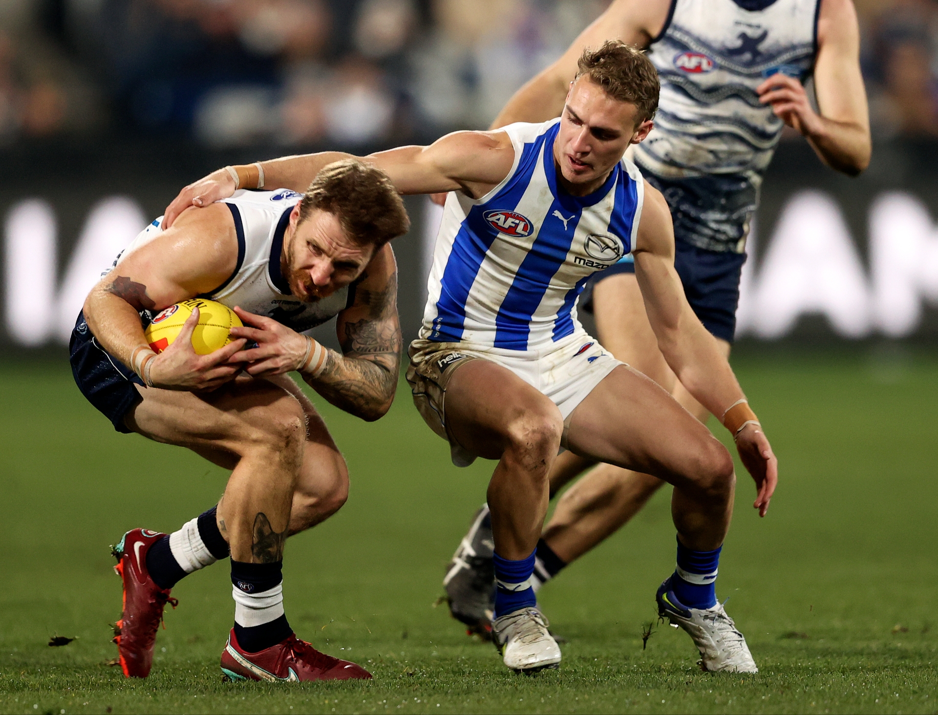 Geelong Cats Vs North Melbourne Tips And Preview Cats Set For Big Win