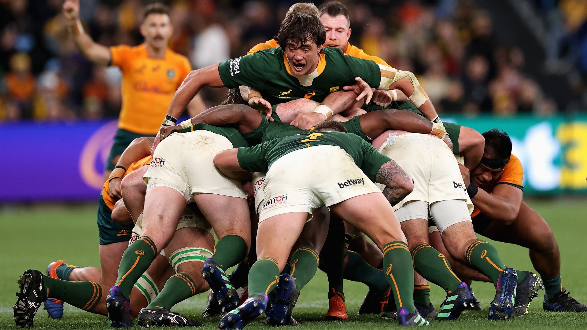 South Africa vs Australia Predictions - Springboks backed for narrow win
