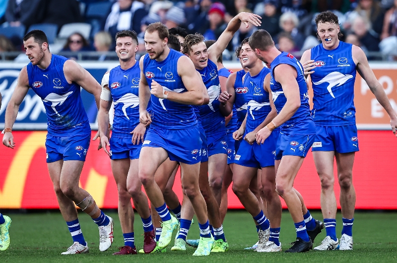 North Melbourne Vs Hawthorn Hawks Tips And Preview Roos Value For Victory