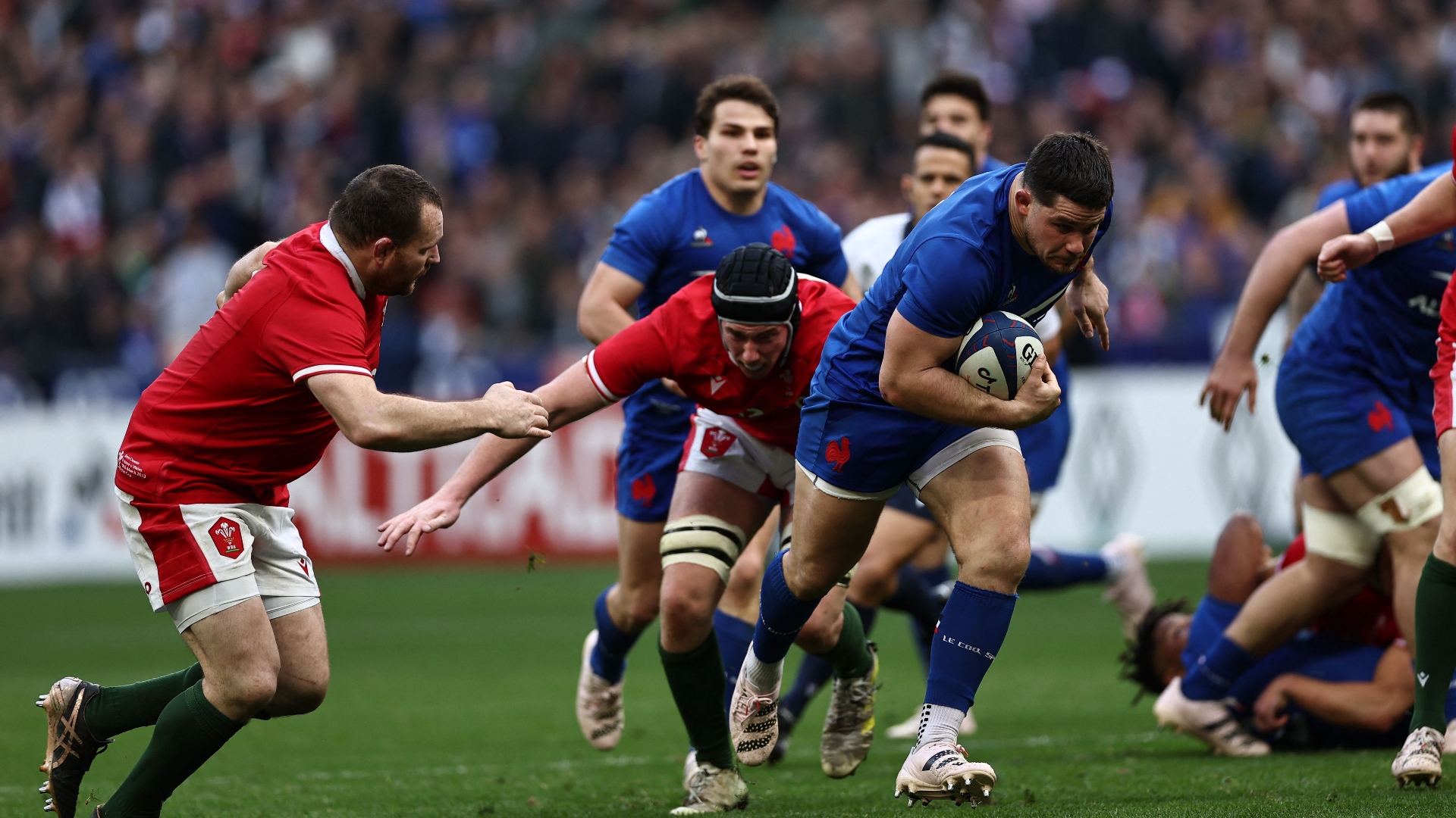 2023 Rugby World Cup Odds - Who will top Pool A at the World Cup?