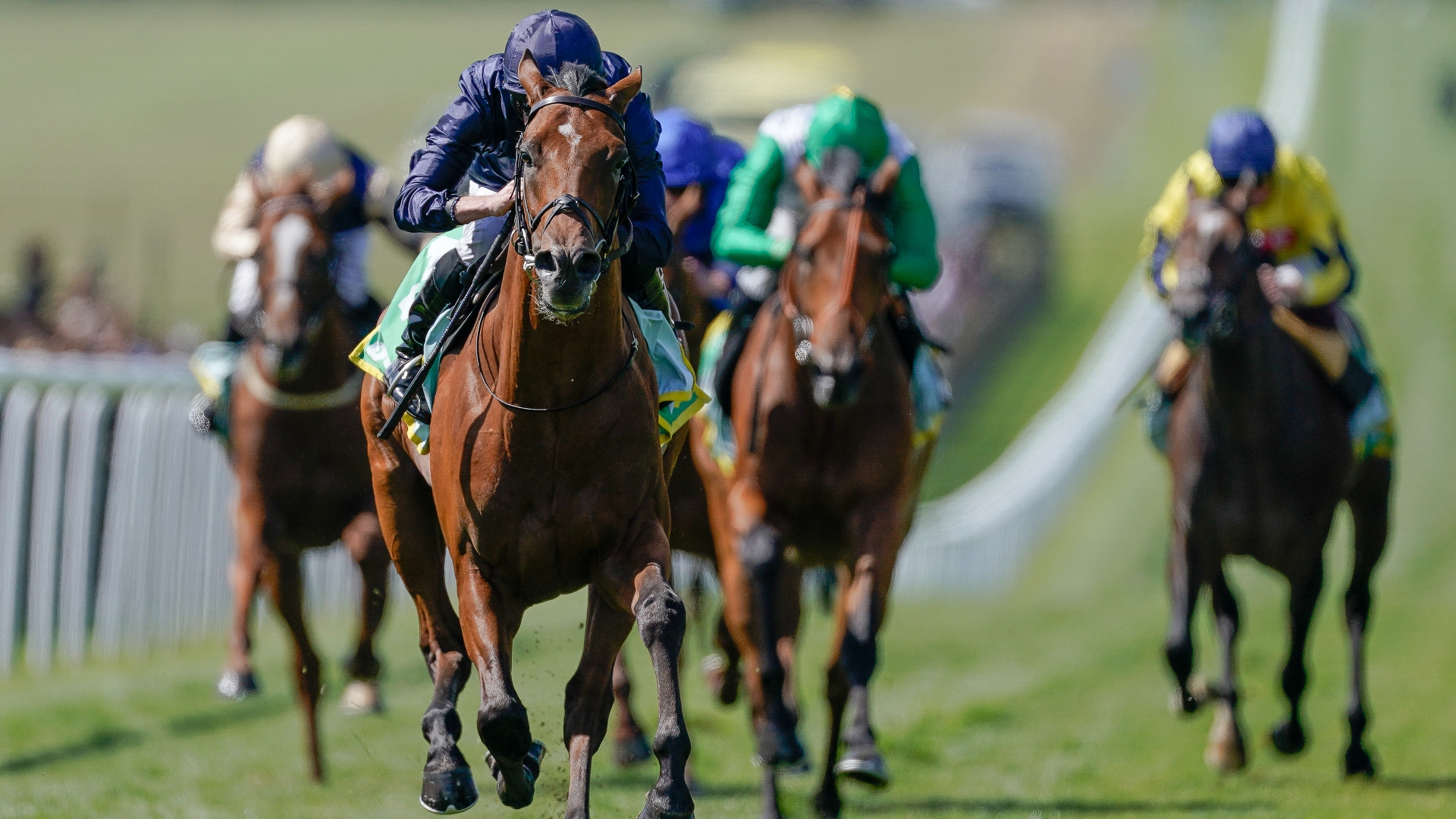 Key Quotes | O'Brien eyeing the National Stakes for City Of Troy