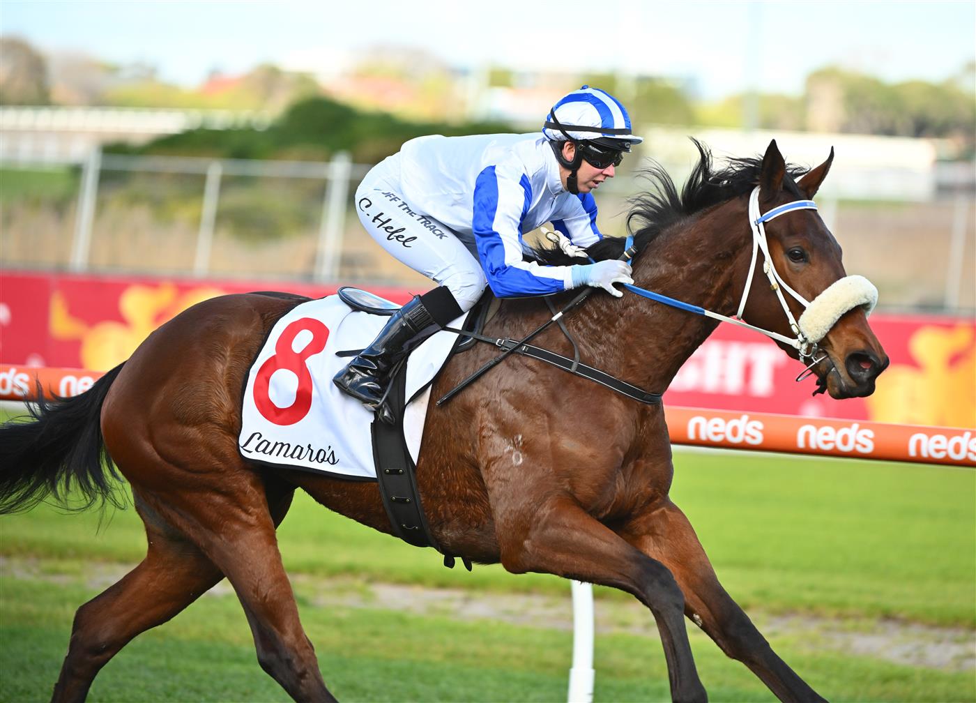 Caulfield Highlights - Saturday, July 22