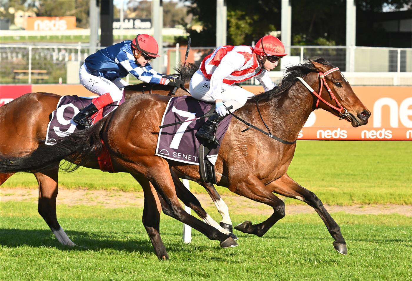 Caulfield Highlights - Saturday, July 22