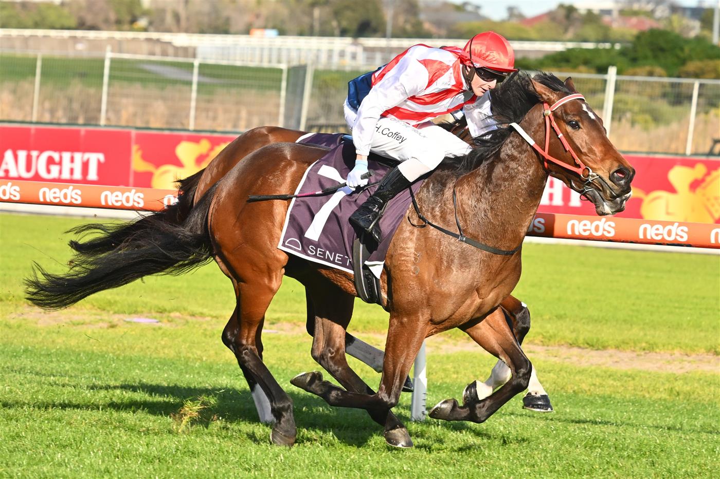 Caulfield Highlights - Saturday, July 22