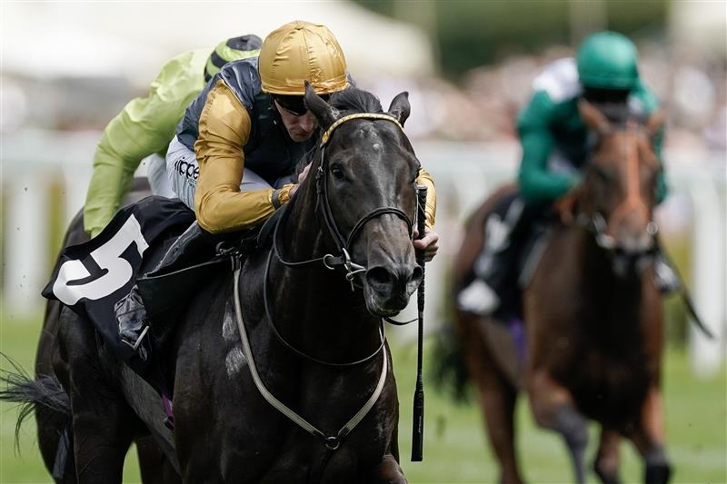 Racing Photos | King George day at Ascot [Pictures and Results]