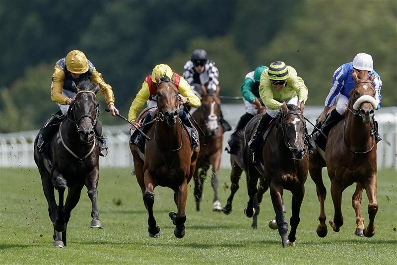 Racing Photos | King George day at Ascot [Pictures and Results]
