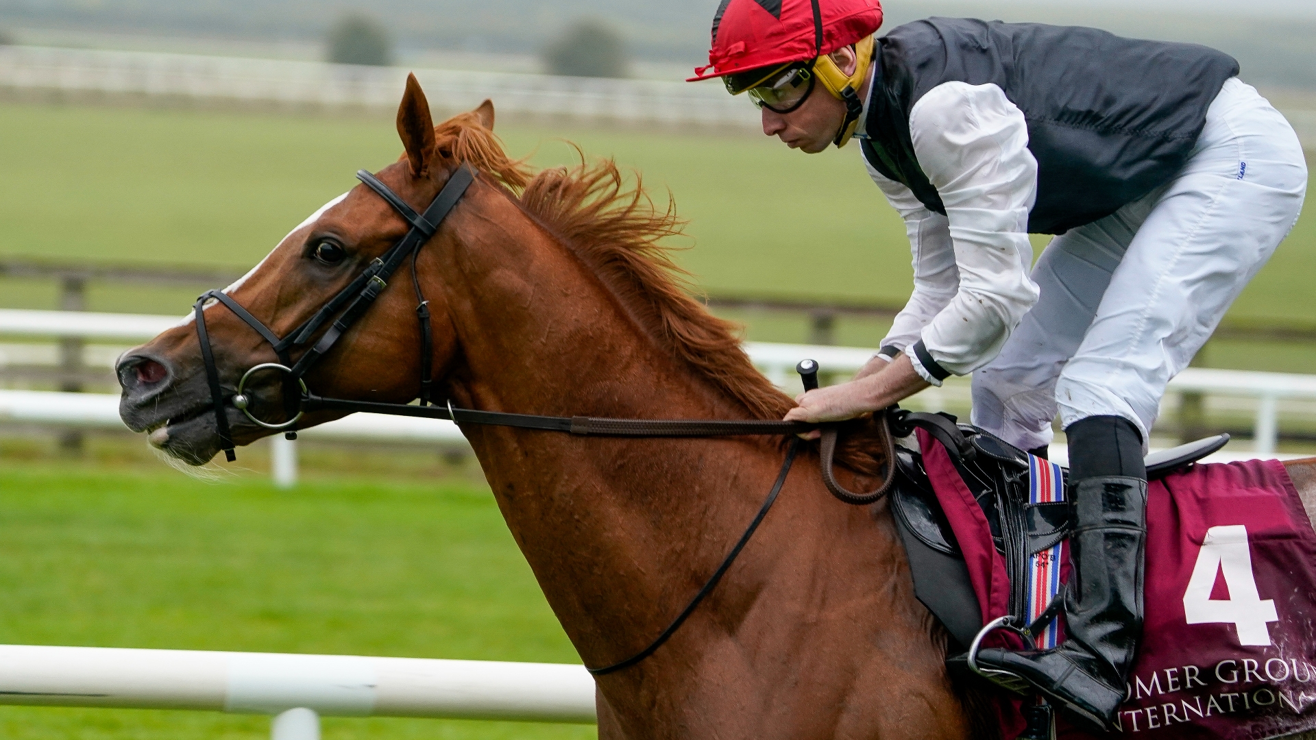 Racing News | Kyprios to return in Irish St Leger