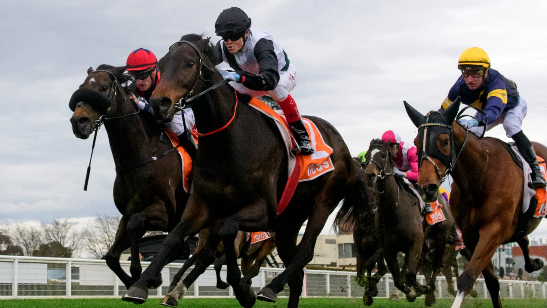 Makybe Diva Stakes 2023 Barrier Draw & Final Field