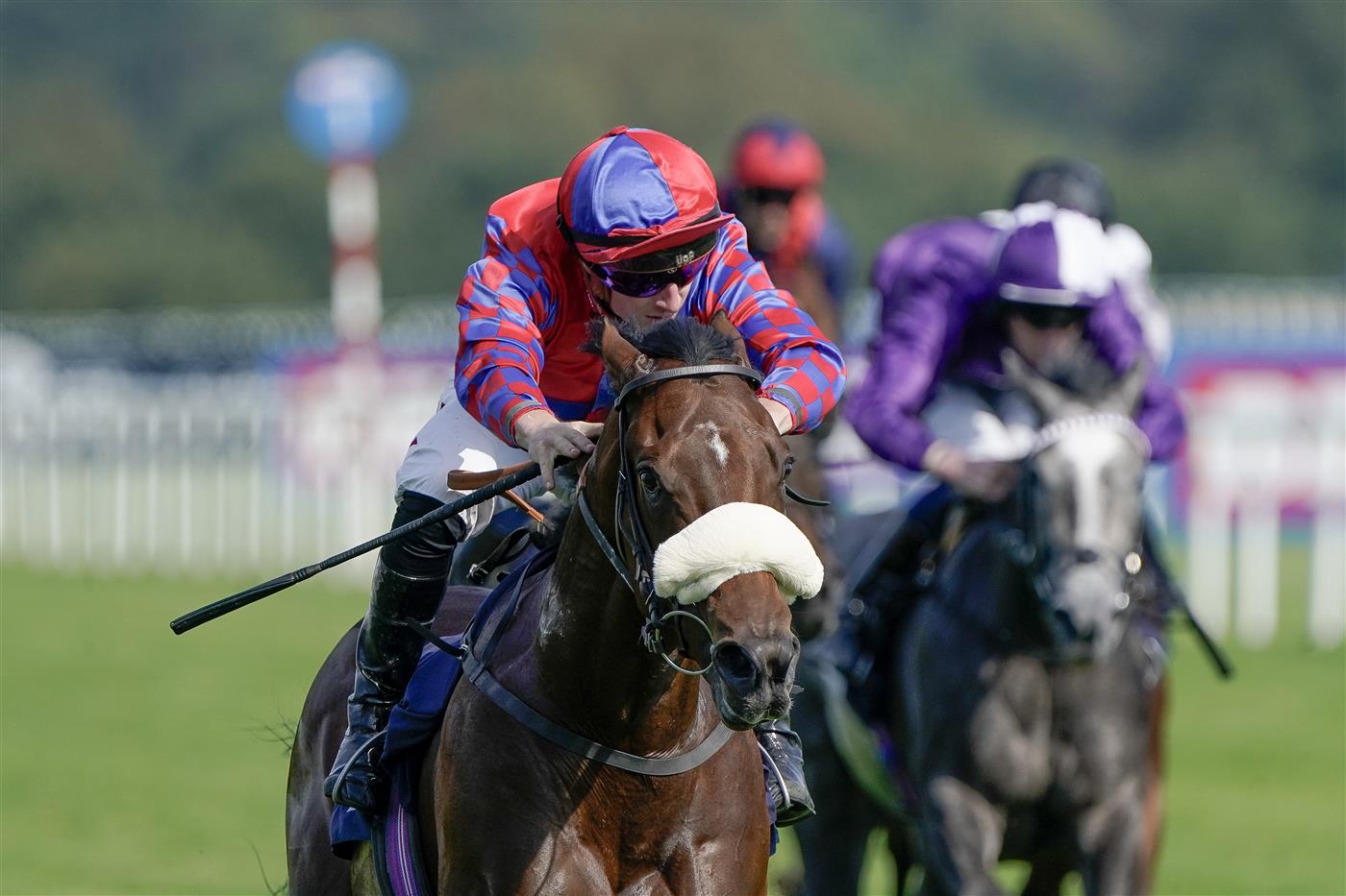 Racing Photos | Doncaster Cup day at Doncaster [Pictures and Results]