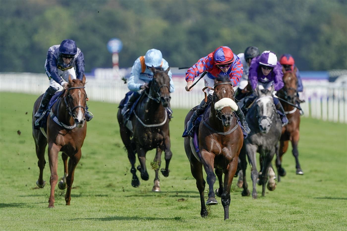 Racing Photos | Doncaster Cup day at Doncaster [Pictures and Results]