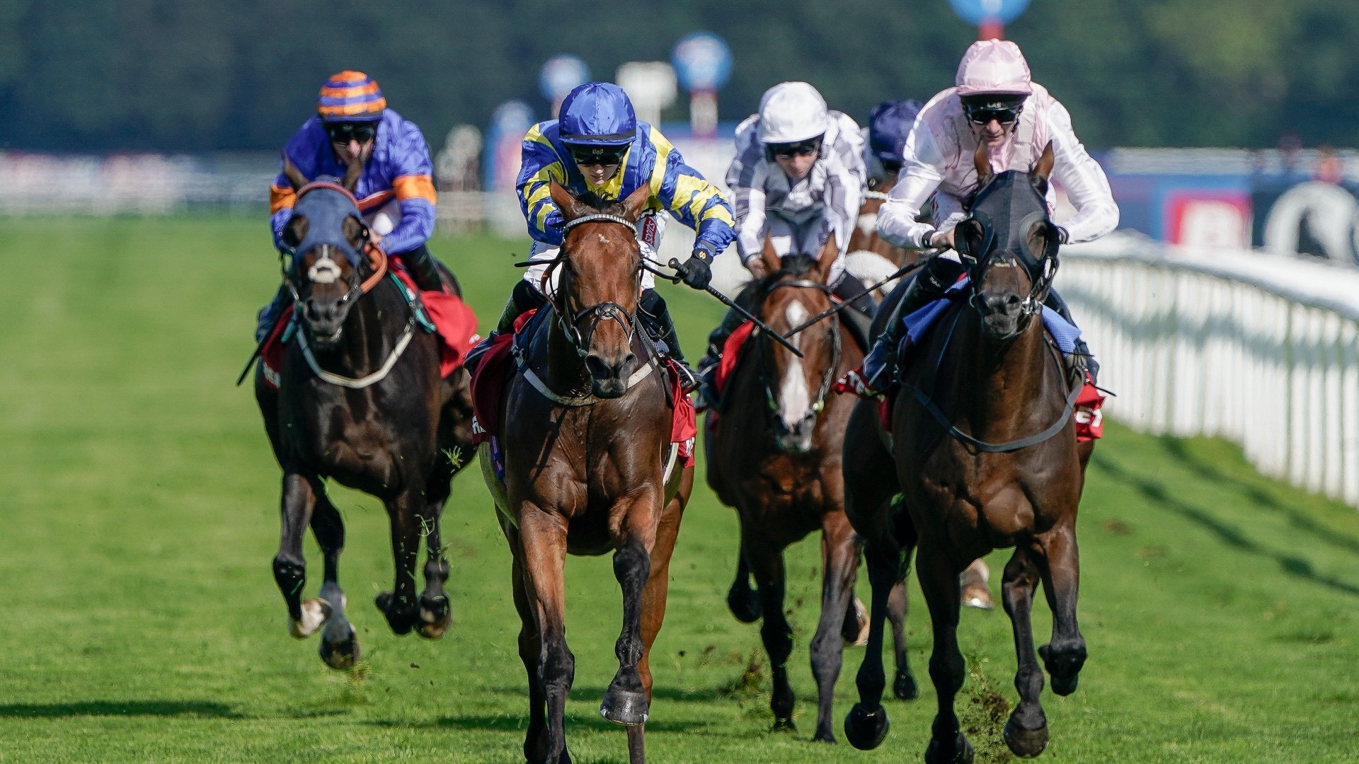 Racing Photos | Doncaster Cup day at Doncaster [Pictures and Results]
