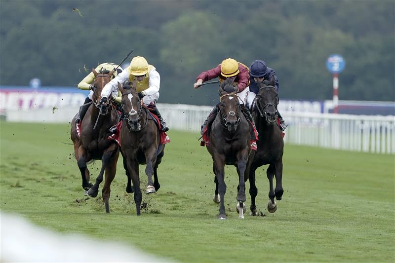 Racing Photos | St Leger day at Doncaster [Pictures and Results]