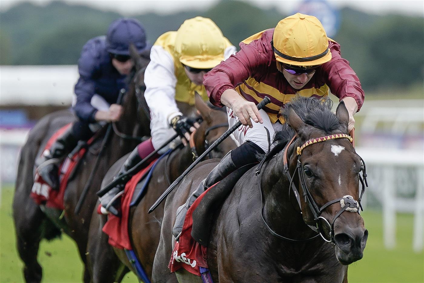 Racing Photos | St Leger day at Doncaster [Pictures and Results]
