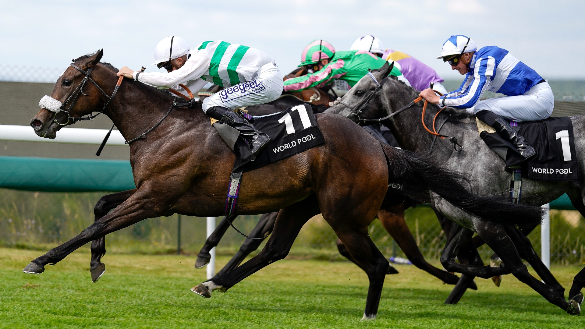 ITV Racing Market Movers on September 16th | Four big movers on St ...