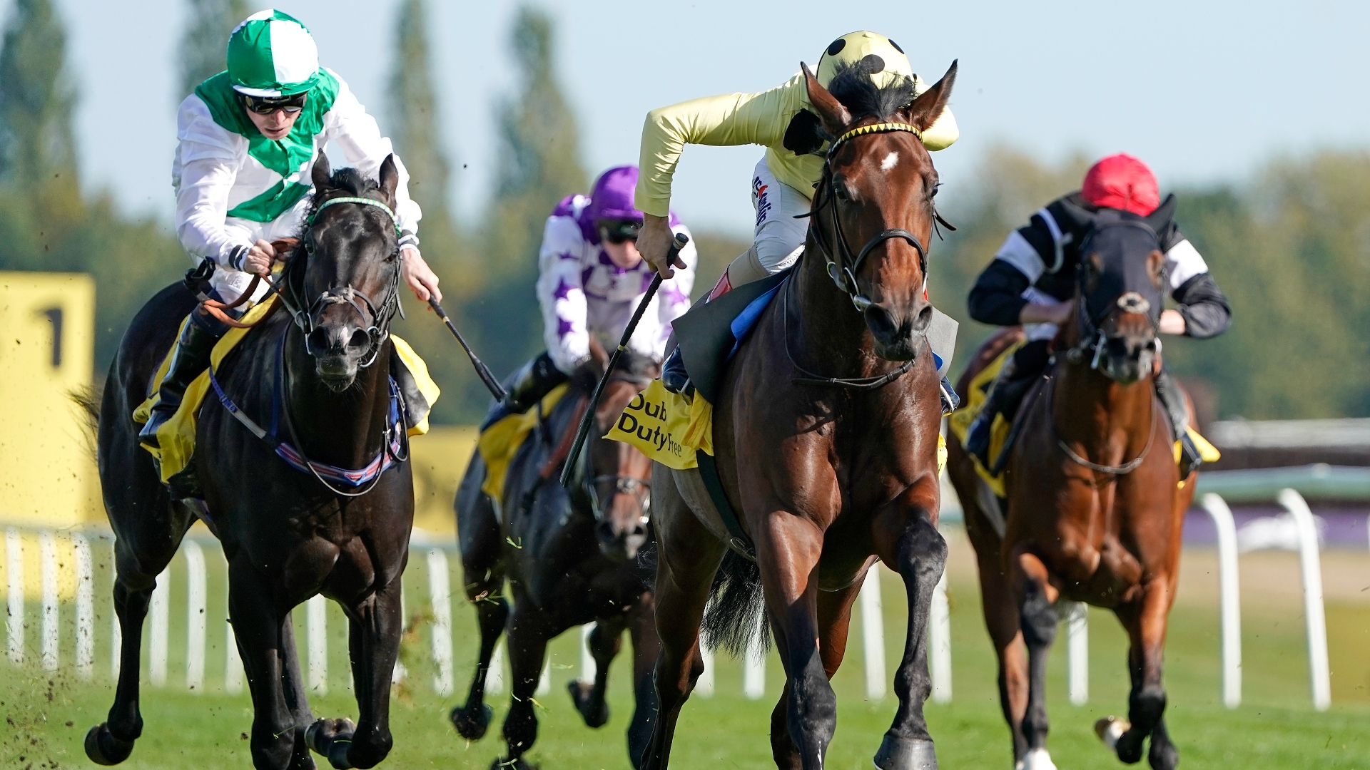 2023 Mill Reef Stakes Odds | Elite Status shades favouritism at Newbury